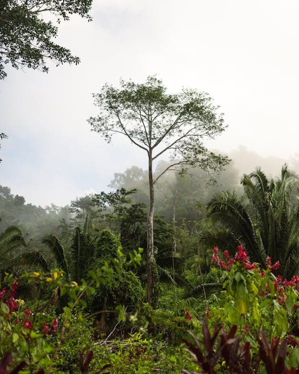 Retire in Belize - Real Costs, Visas & Expat Guide | LeavingTheStates.com